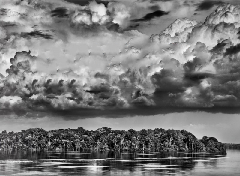 Sebastião Salgado — Silvia Cintra+Box4